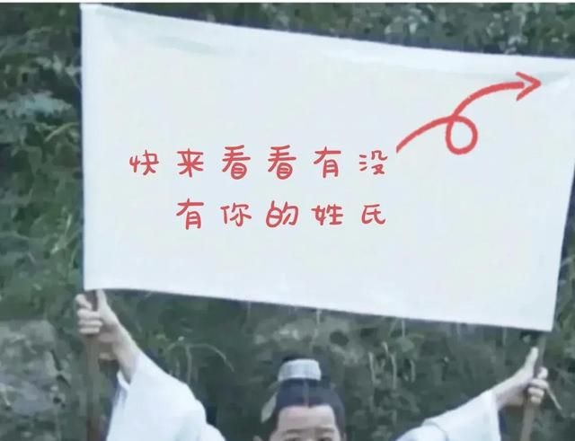 有趣的谐音梗网名 闪电鸟